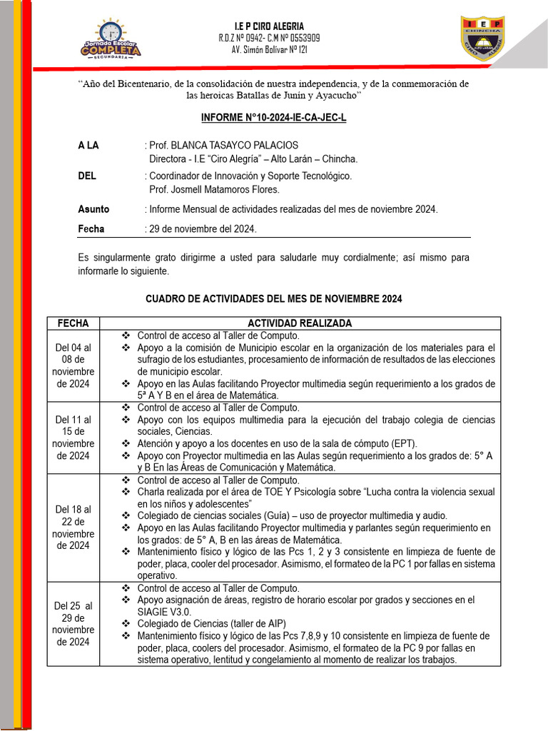 Informe Mensual Cist - Noviembre - 2024 | PDF
