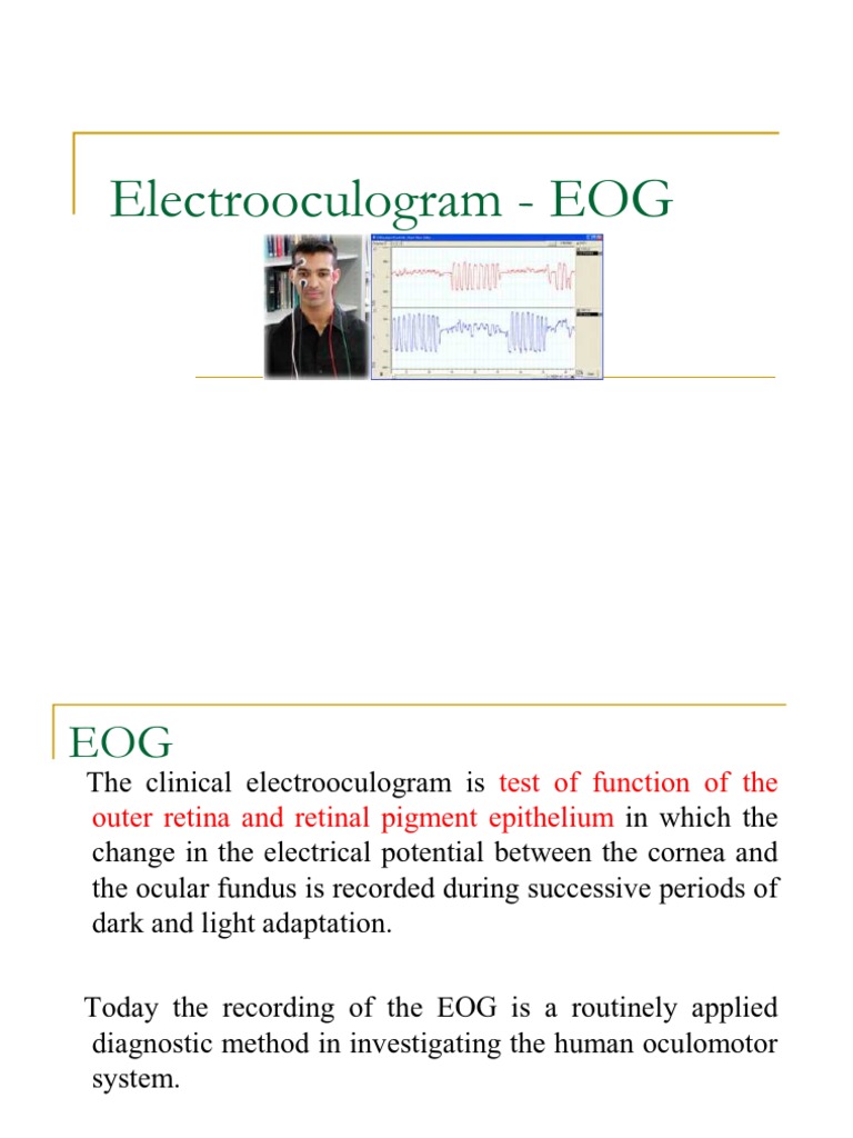 The Electrooculogram EOG | PDF | Vestibular System | Human Eye