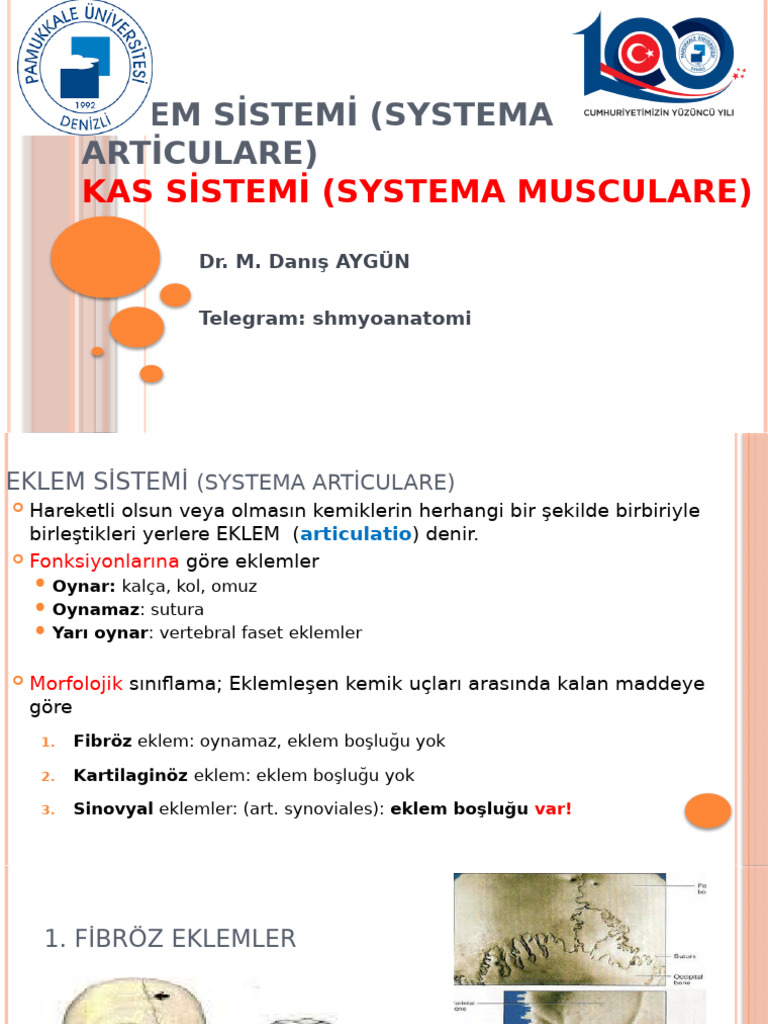 BMM Ders 3 Eklem Ve Kas | PDF