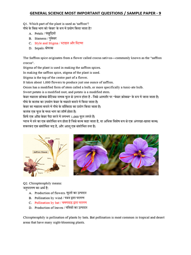 Sample Paper - 9 | PDF