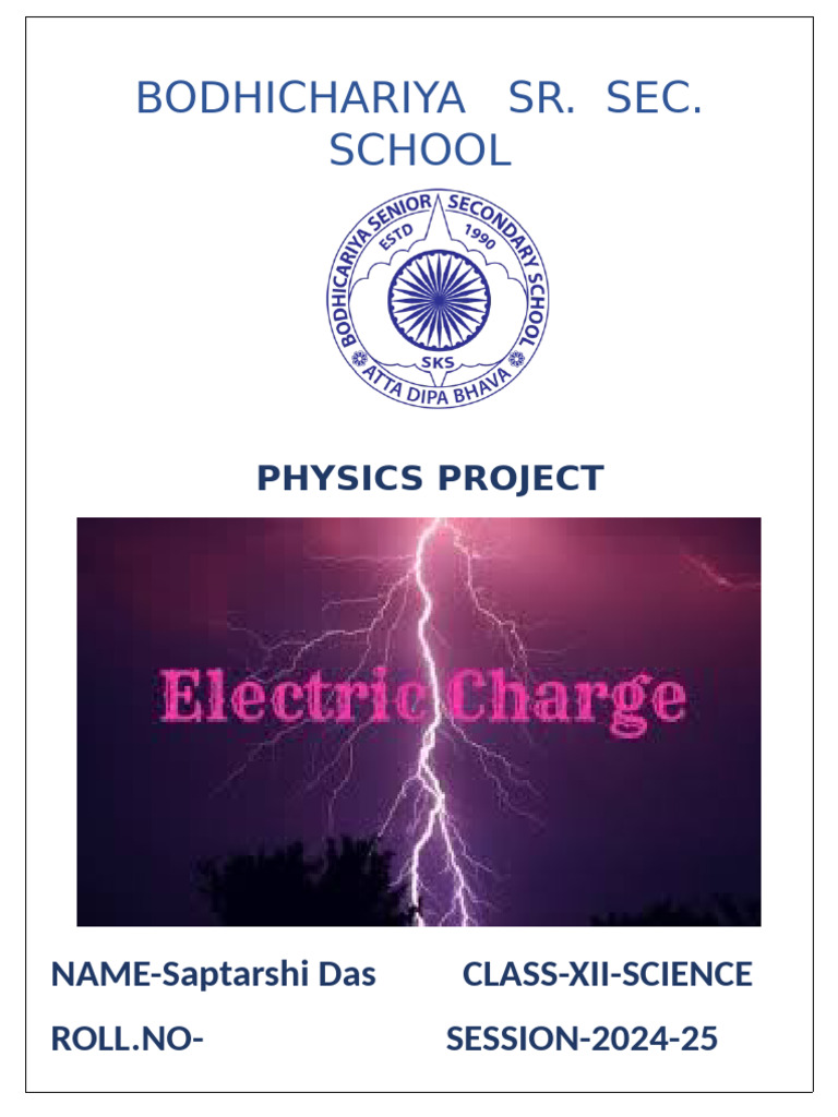 Physics Project | PDF