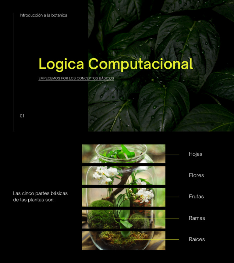 Lógica Computacional | PDF