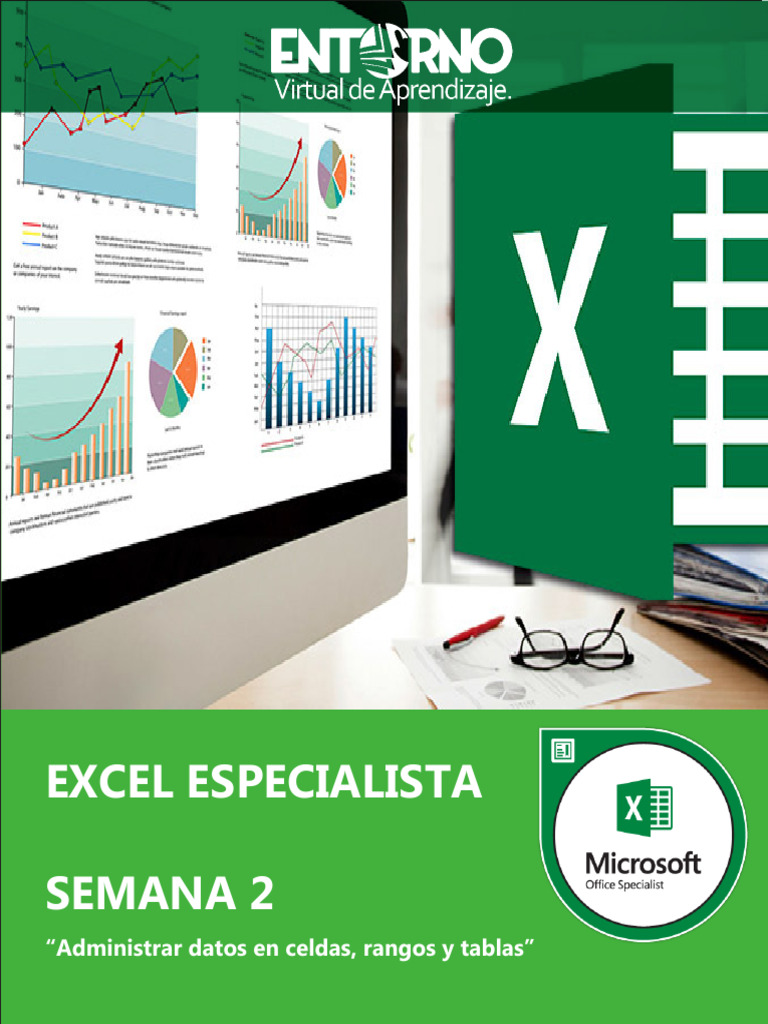 Contenido S2 | PDF | Microsoft Excel | Bases de datos
