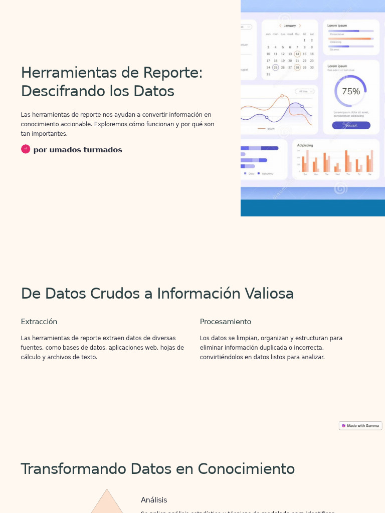 03herramientas de Reporte Descifrando Los Datos | PDF | Microsoft Excel ...