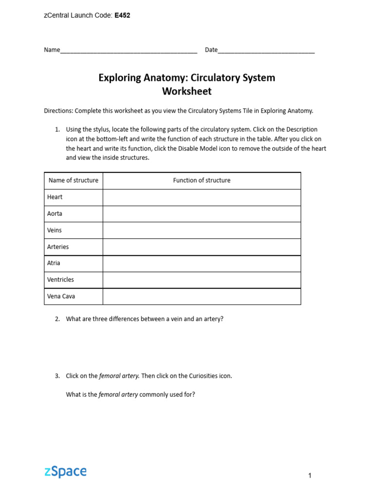 Exploring Anatomy - Circulatory System Worksheet | PDF | Heart | Cardiology