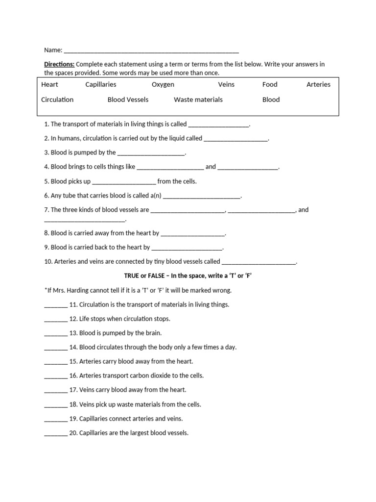 Cardiovascular-System-Worksheet | PDF | Heart | Artery