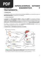 Fases Neurológicas de la Hipoglucemia | PDF