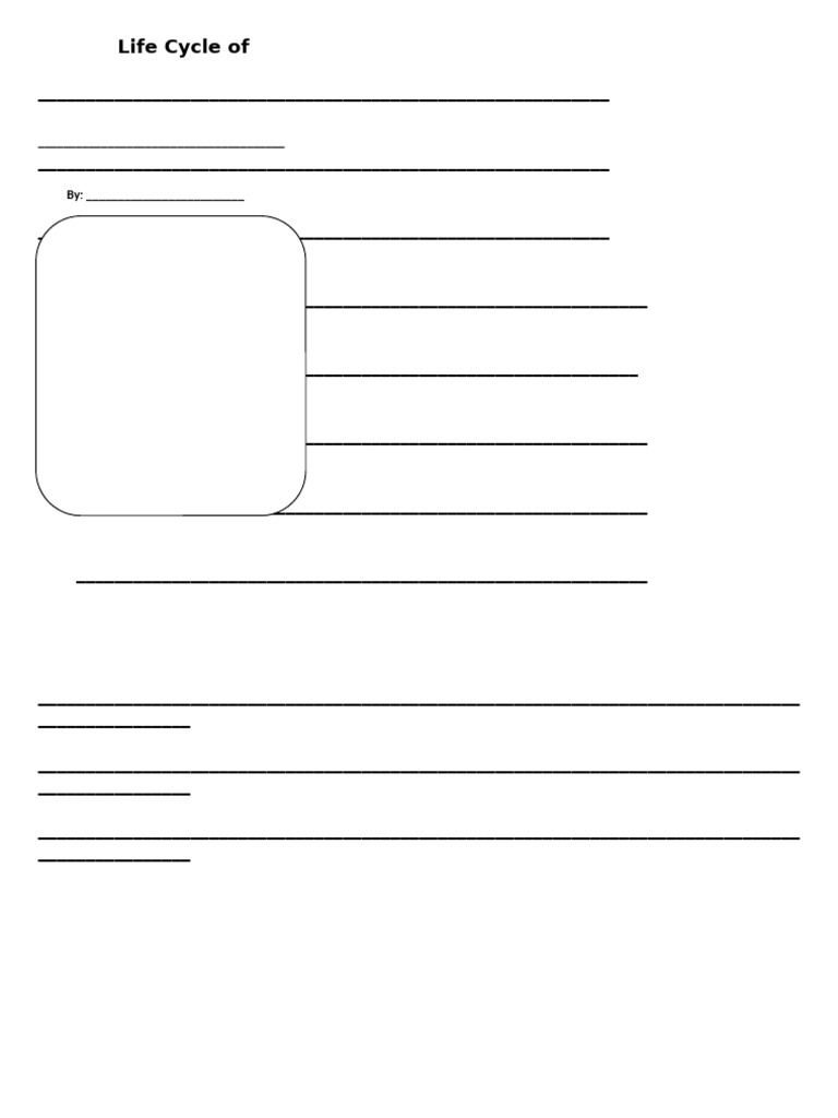 Life Cycle Overview | PDF