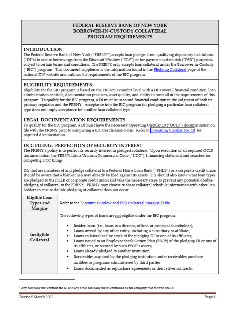 BIC Program Requirements | PDF | Loans | Credit