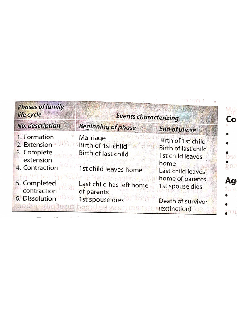 Family Phases | PDF