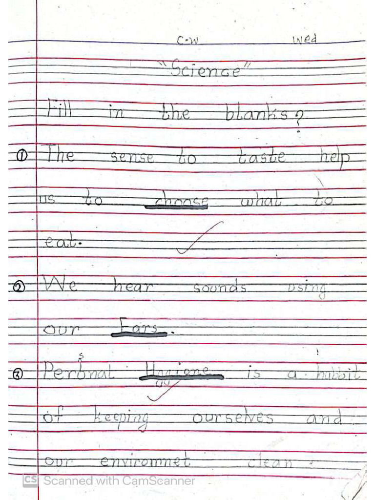 General Science Grade 1 | PDF