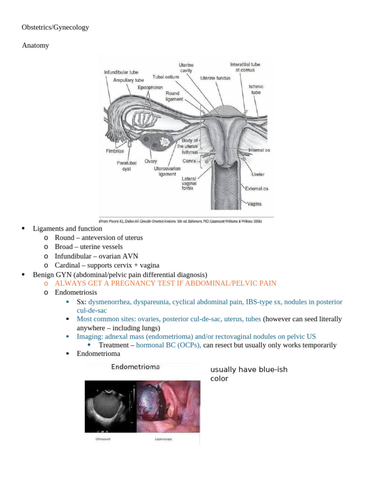 GYN study guide - final | PDF | Ovarian Cancer | Human Reproduction