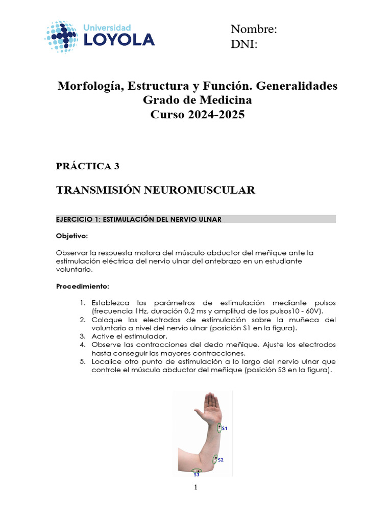 Transmisión Neuromuscular | PDF | Músculo | Contracción muscular