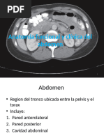 Anatomía del Recto Abdominal | PDF | Abdomen | Sistema musculoesquelético
