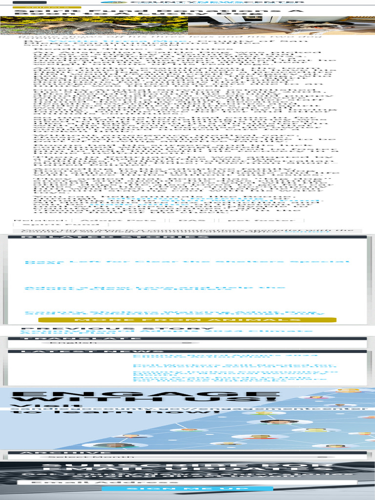 Spirit Fund Donations A Boon To A Lucky Dog - News - San Diego County ...