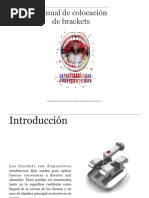 Tipos y Formas de Arcadas Dentales | PDF | Anatomia animal | Boca