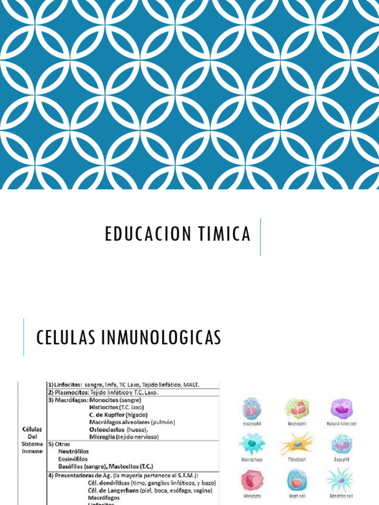 Educacion Timica-1 | PDF