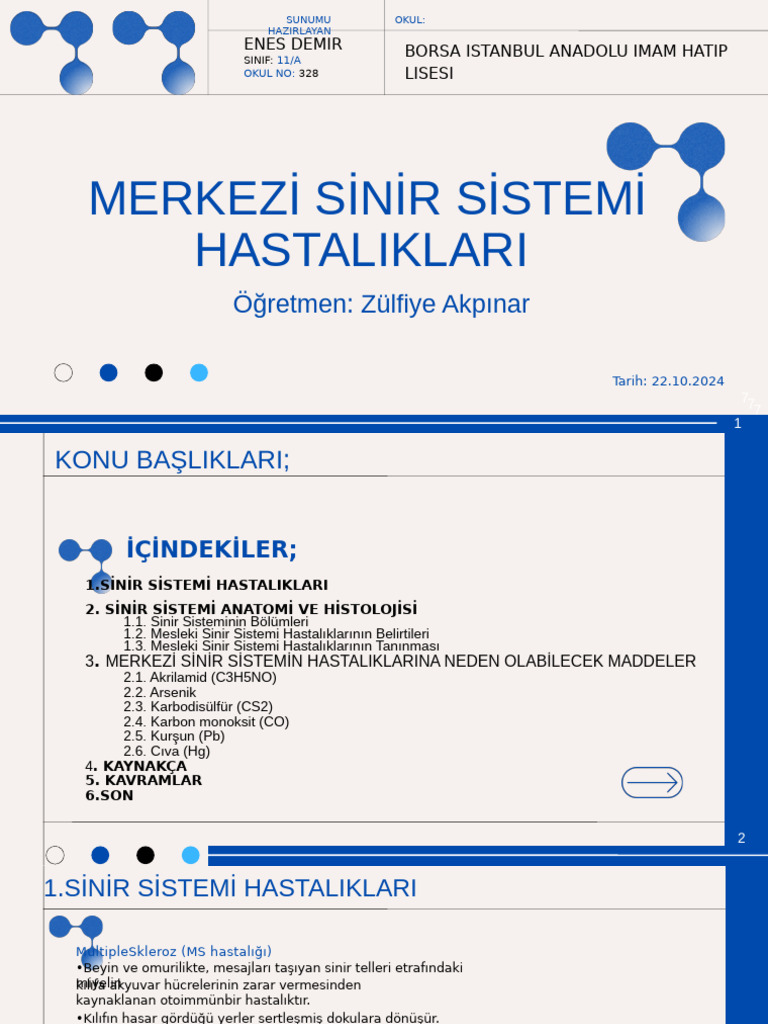 Enes Demir - 20241021 - 214124 - 0000 | PDF