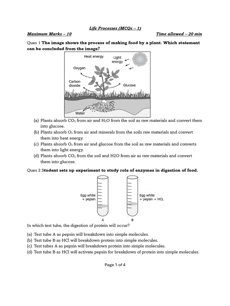 Life Processes MCQs (Test - 1) | PDF | Oxide | Chemistry