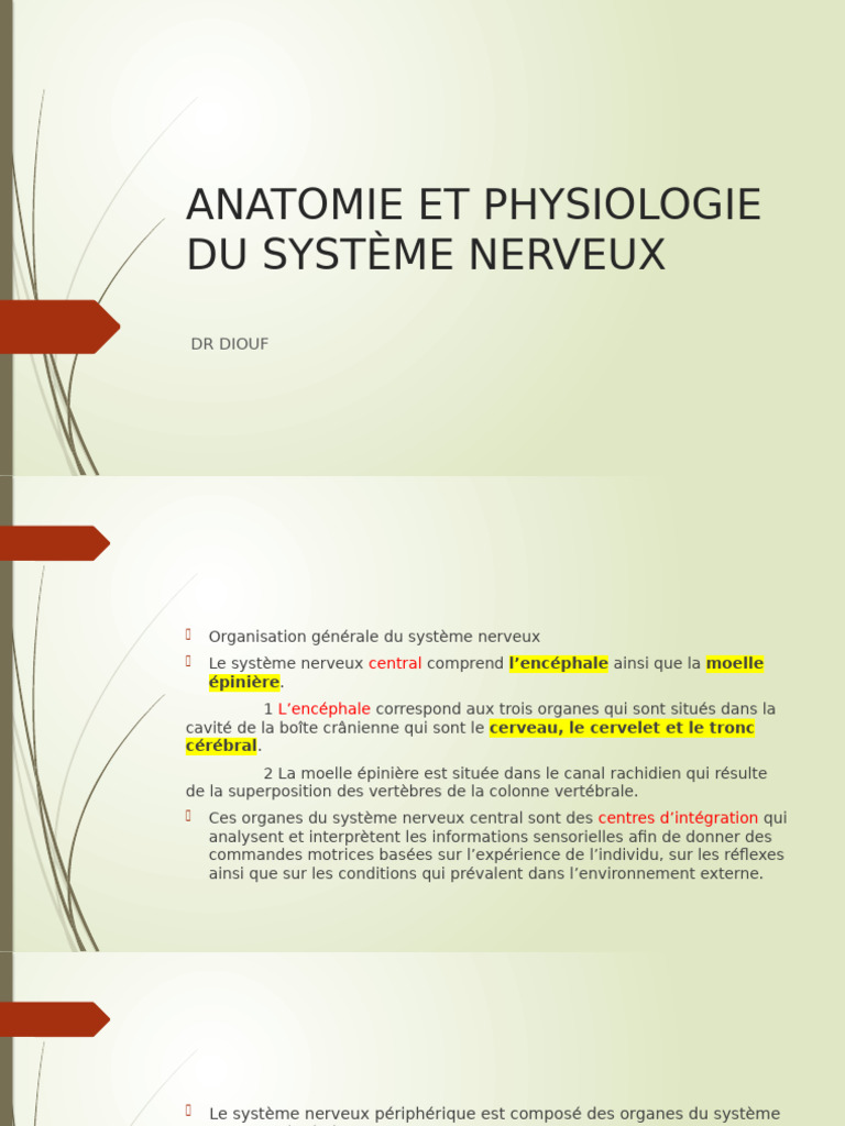 Anatomie Et Physiologie | PDF | Nerf | Système nerveux