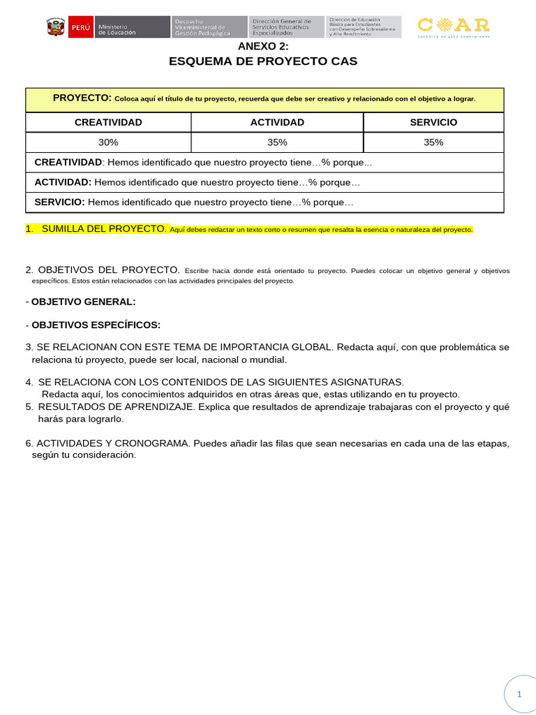 Esquema Completo de Proyecto CAS | PDF | Evaluación | Creatividad