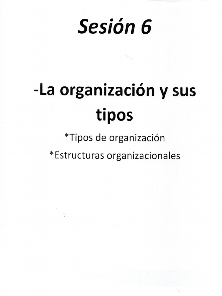 La Organizaci-n y Sus Tipos | PDF