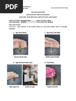 Inoculation Techniques for Tube Media | PDF | Growth Medium | Microbiology