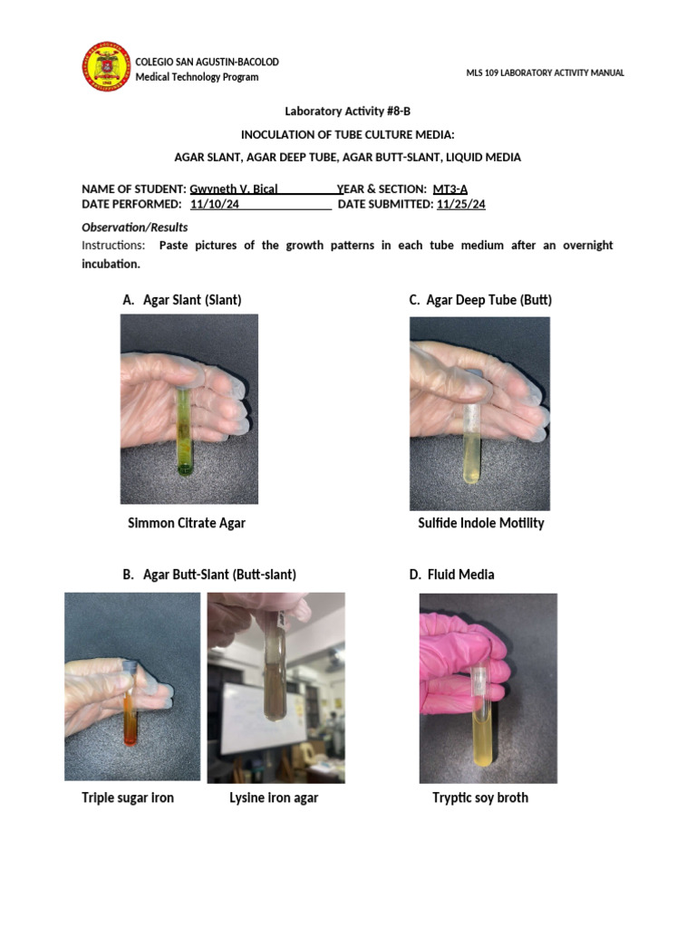 Lab Activity 8B. Tube Media Inoculation (3) | PDF | Growth Medium | Biology