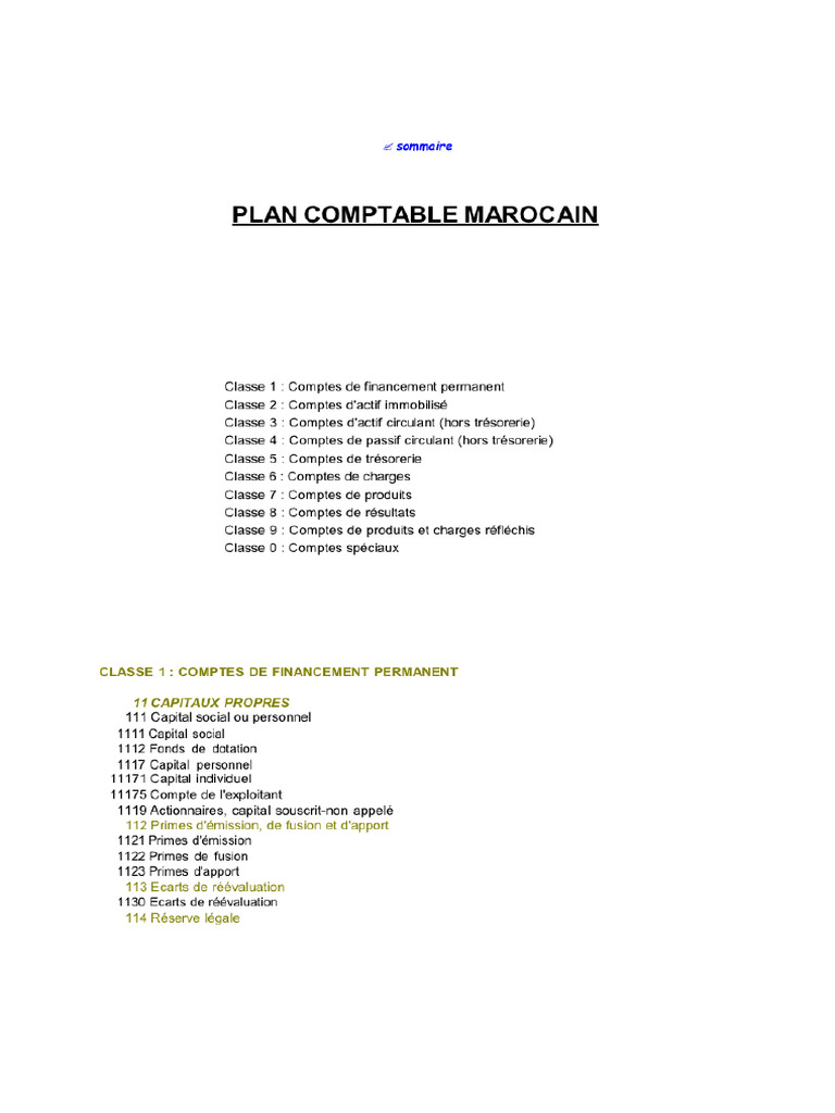 Plan Comptable Marocain 20241201122322 | PDF