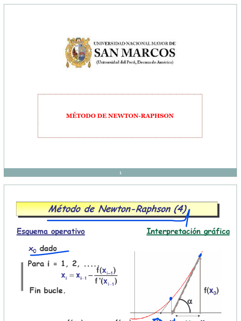 Metódo Newton Raphson | PDF