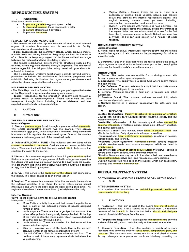 ELS-NOTES | PDF | Lung | Respiratory Tract