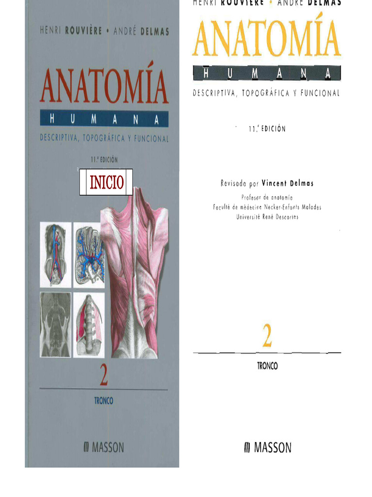 ROUVIERE - 2 Tronco | PDF