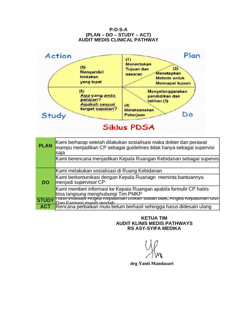 PDSA Audit CP KPD | PDF
