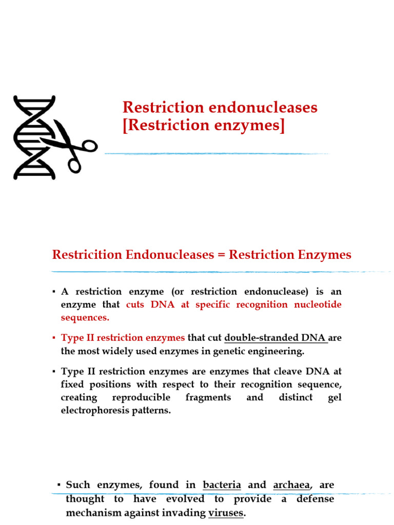 (5) Restriction Enzymes | PDF | Restriction Enzyme | Dna Sequencing