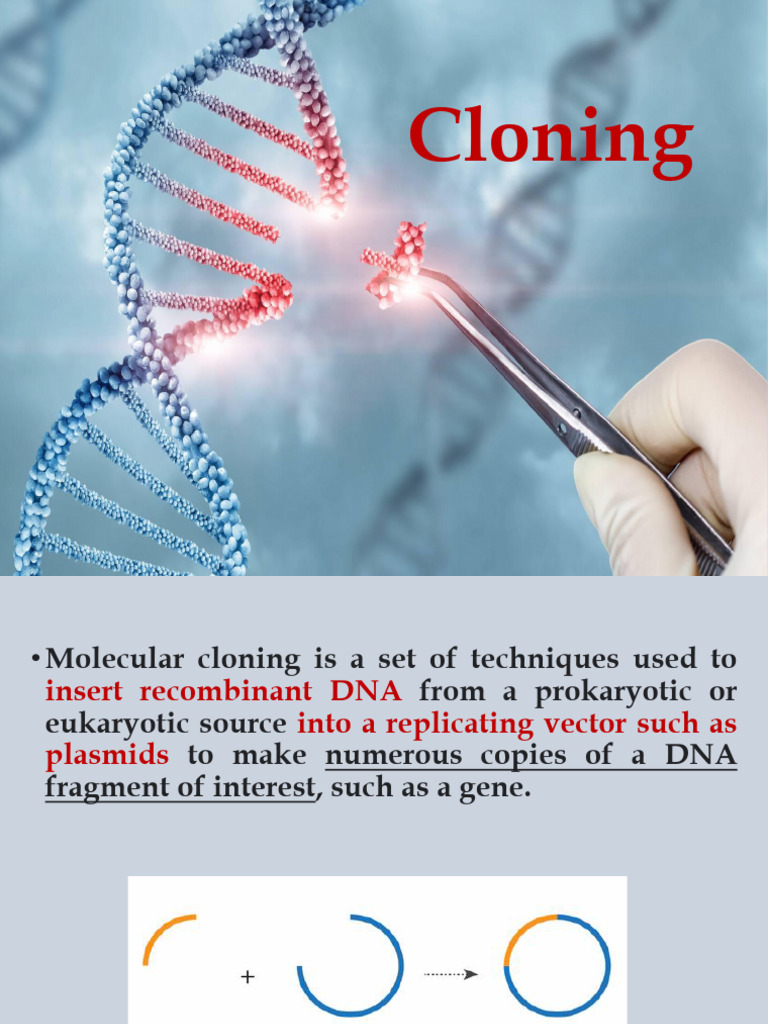 (6) cloning | PDF | Plasmid | Molecular Cloning
