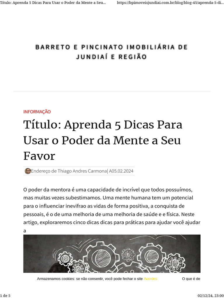 Título - Aprenda 5 Dicas para Usar o Poder Da Mente A Seu Favor - Barreto e Pincinato ...