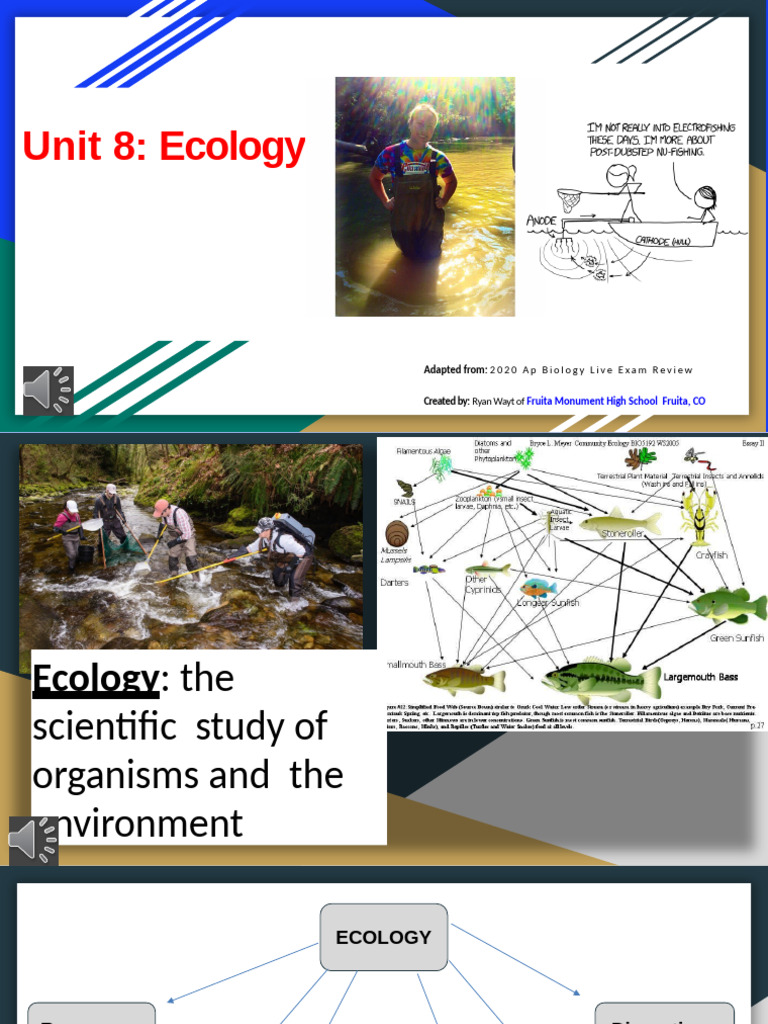 Unit 8 Notes Overview | PDF | Ecology | Ecosystem