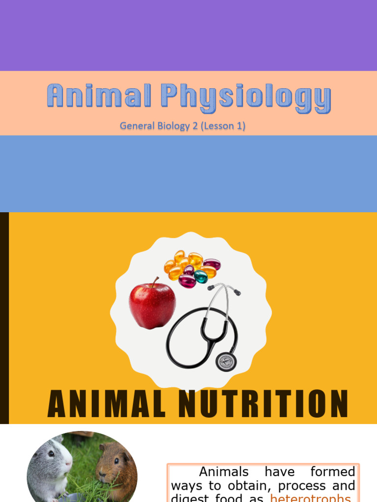 Animal Nutrition and Digestive Adaptations | PDF | Digestion