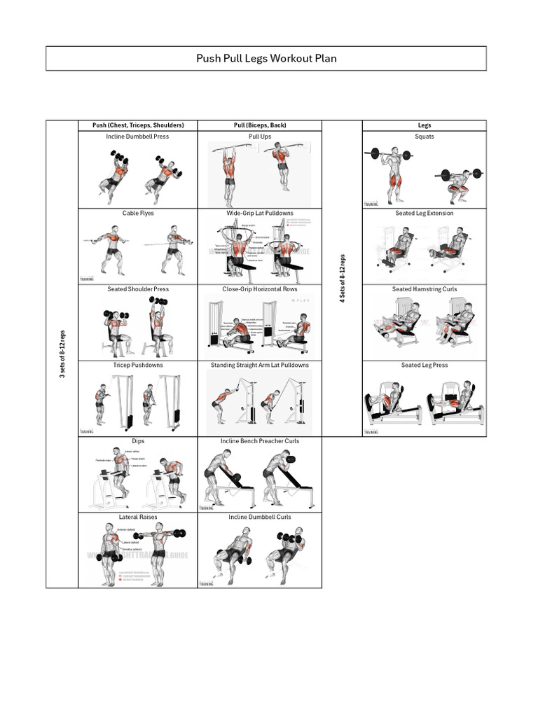 PPL Workout Plan | PDF