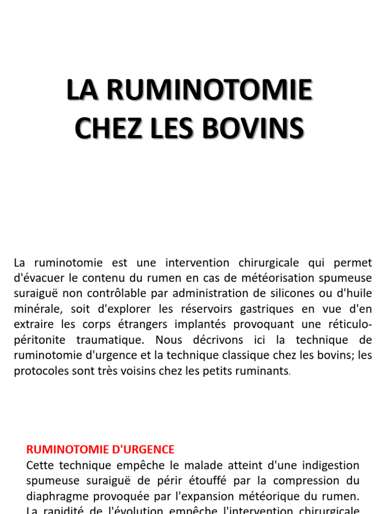 Ruminotomie chez les bovins : techniques et protocoles | PDF | Suture ...