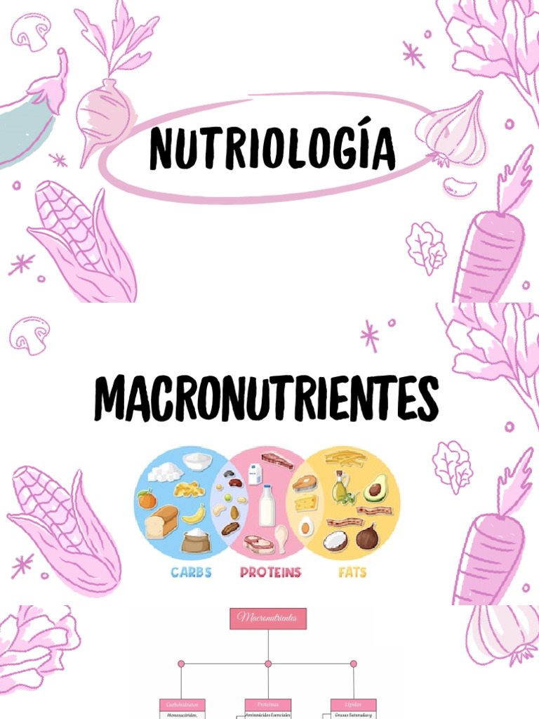 Guía Completa de Nutrición y Vitaminas | PDF | Vitamina | Alimentos