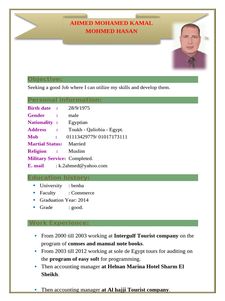 Egyptian Job Seeker's Resume Summary | PDF