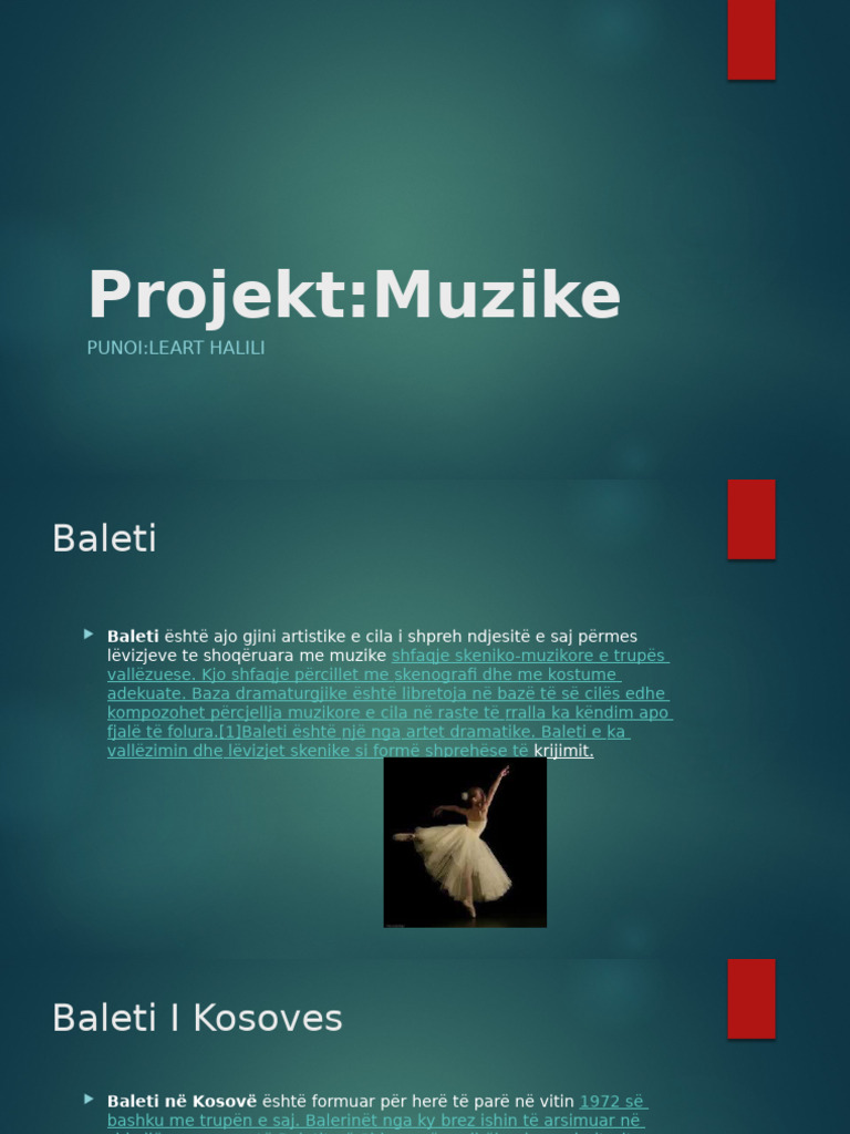 Projekt Muzike | PDF