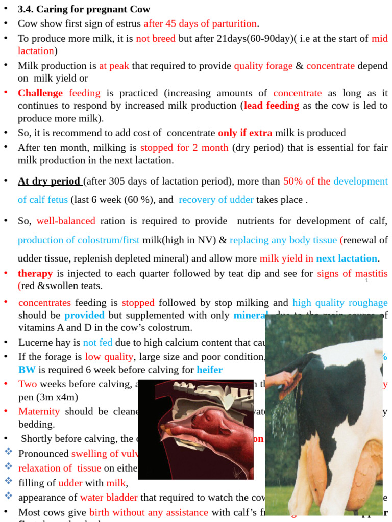 Dairy Cow Care & Management Guide | PDF | Dairy Cattle | Cattle