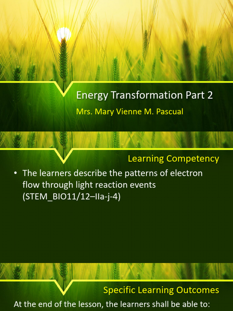 3.energy Transformation Part 2 | PDF | Photosynthesis | Metabolism