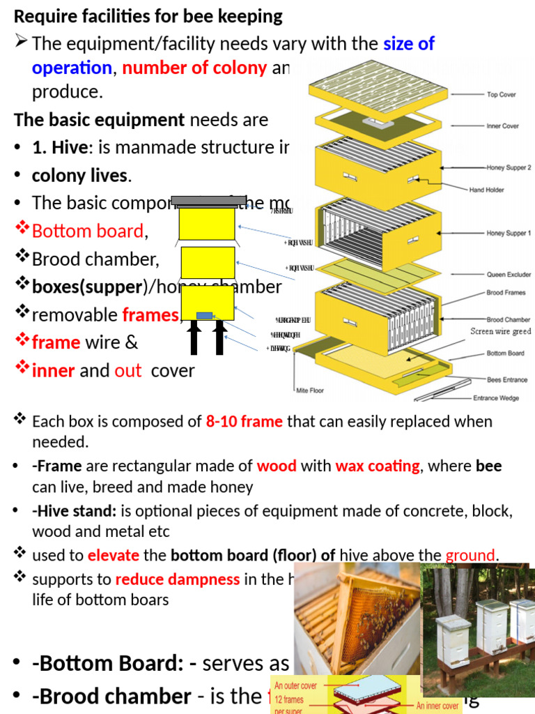 Essential Beekeeping Equipment Guide | PDF | Beehive | Beekeeping