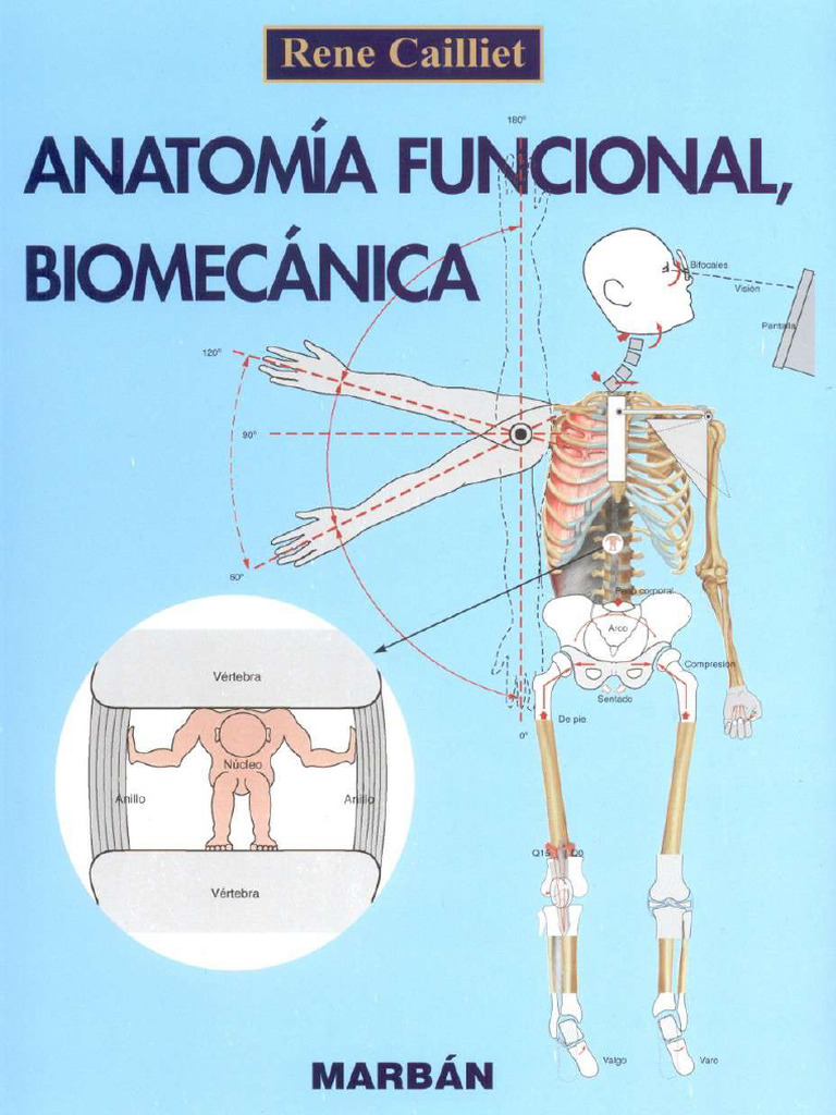 Anatomia Funcional Biomecanica | PDF