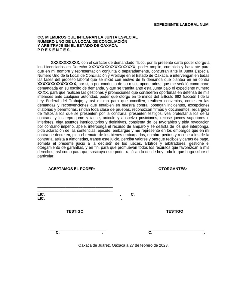 Formato Carta Poder Asunto Laboral | PDF | Judicaturas | Justicia