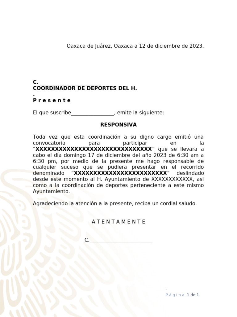 FORMATO CARTA RESPONSIVA | PDF