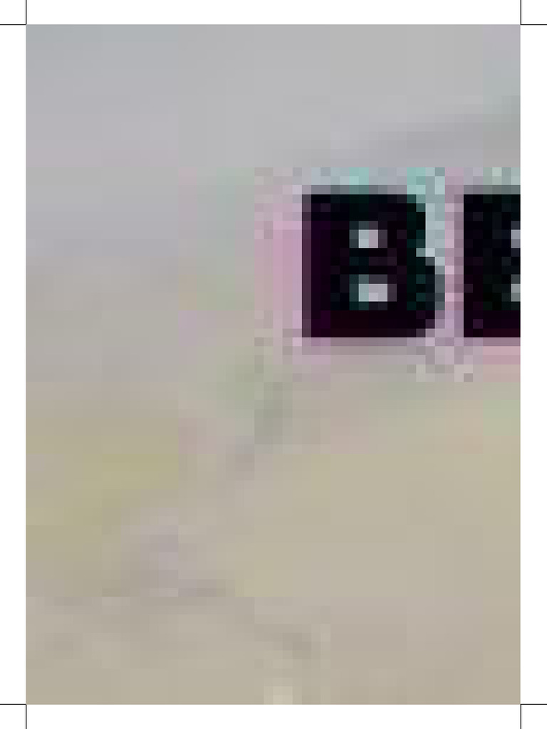 Rasterbation | PDF